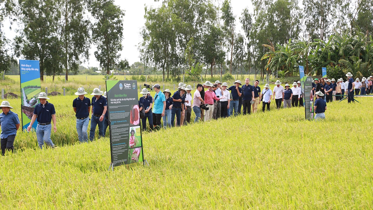 Bayer ForwardFarm đầu tiên đặt tại Việt Nam | Bayer Vietnam